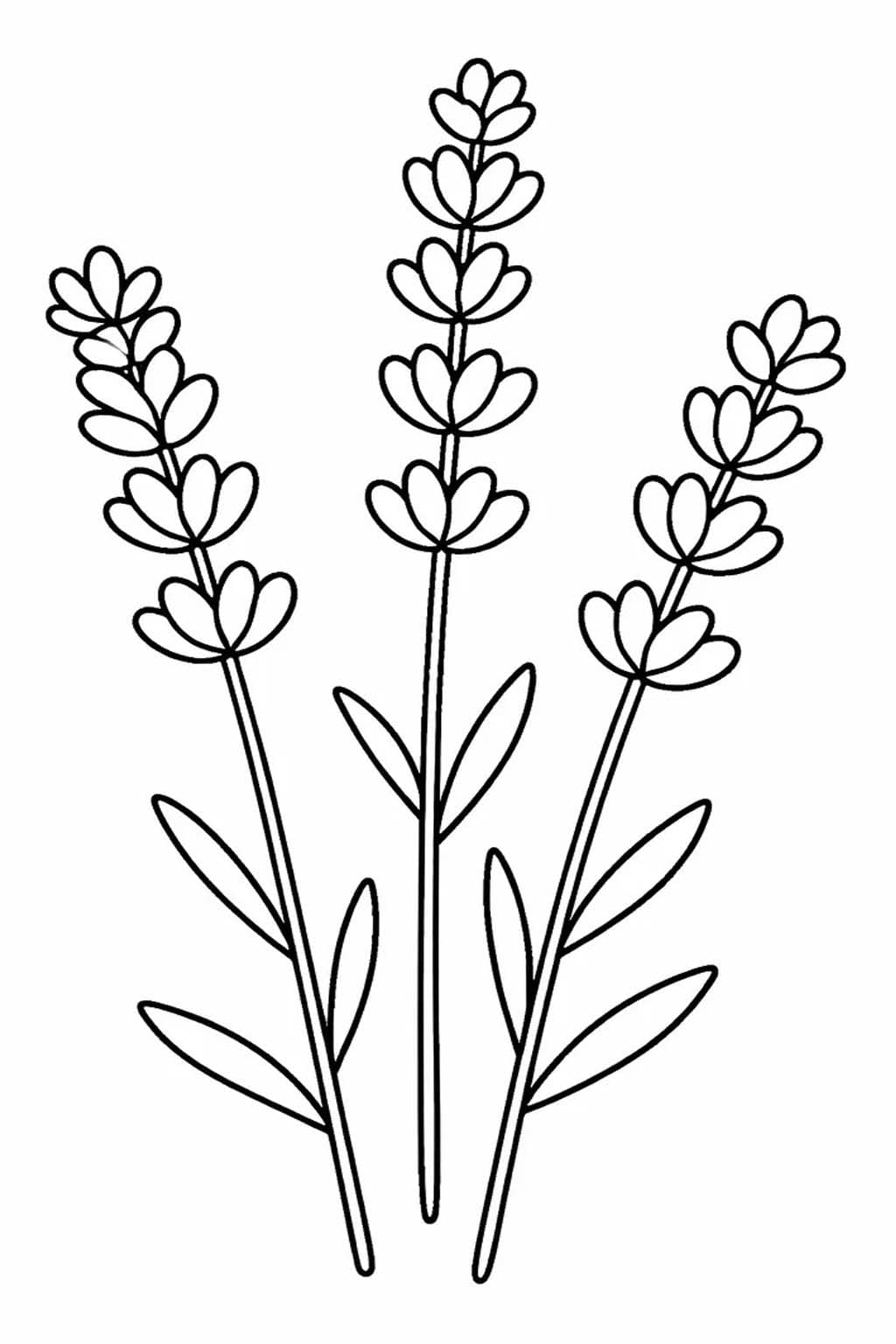 Fise de Colorat cu Lavandă gratuit simplu - Descărcați, imprimați sau ...